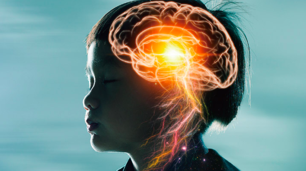 Technology Foresight 2020 - Locus Telecommunication